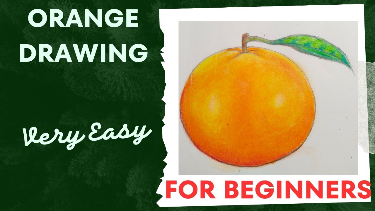 Orange 🍊 Drawing Easy || 3D Drawing For Beginners 🔥 - YouTube