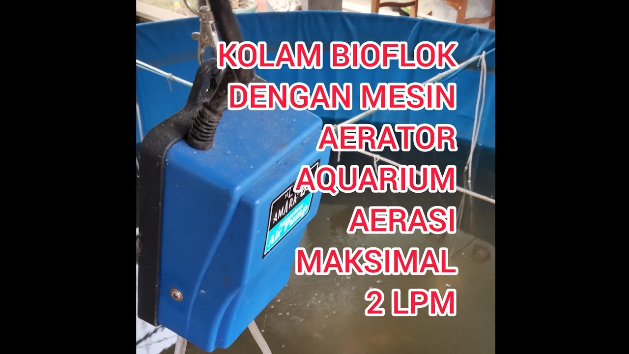 Kolam Bioflok dengan Mesin Aerator Aquarium Aerasi Maksimal 2 LPM - YouTube