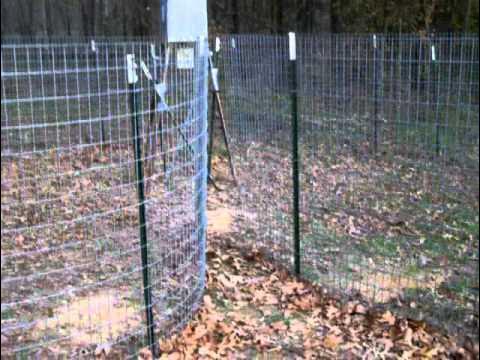 Heart Trap Vid.MOV - YouTube