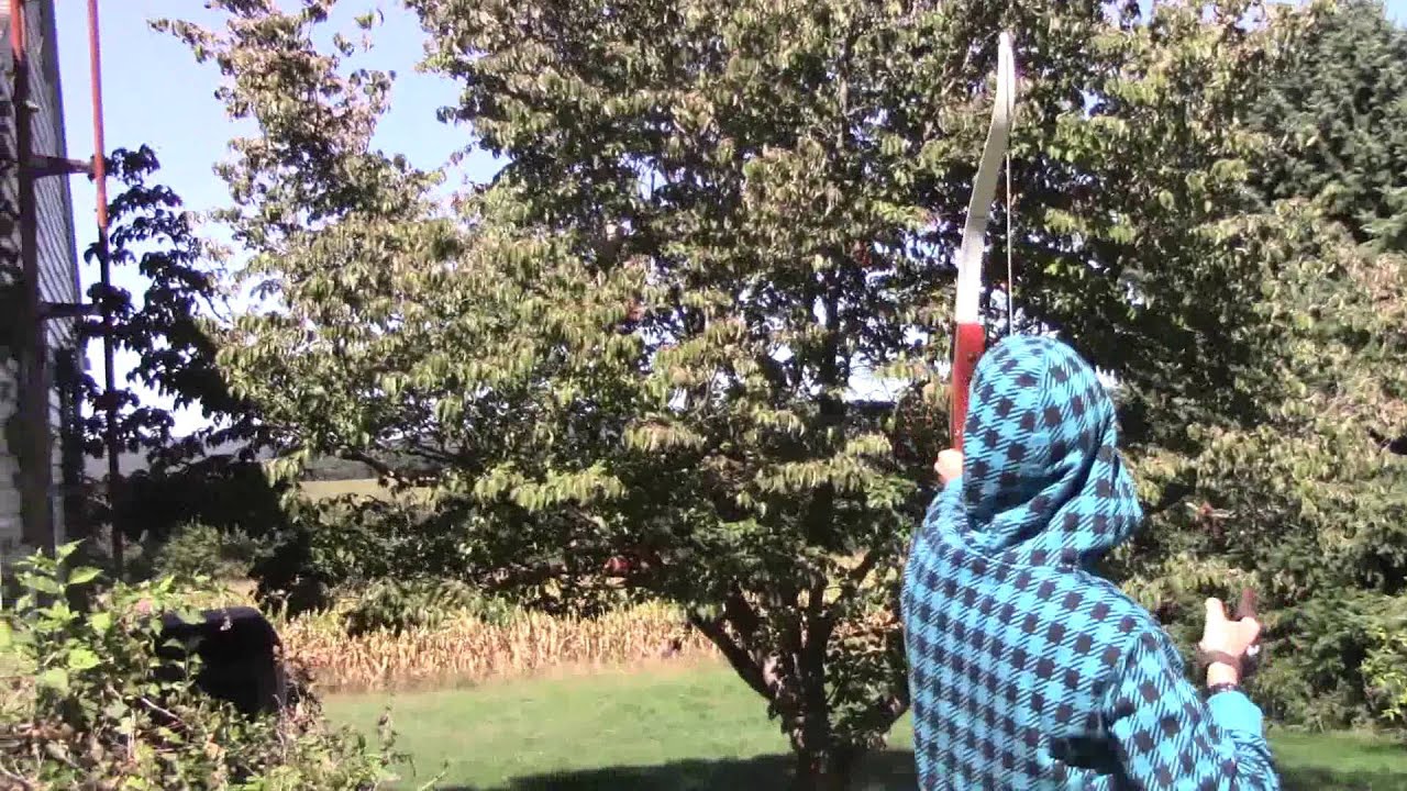 To Knock Down A Bee Hive - YouTube