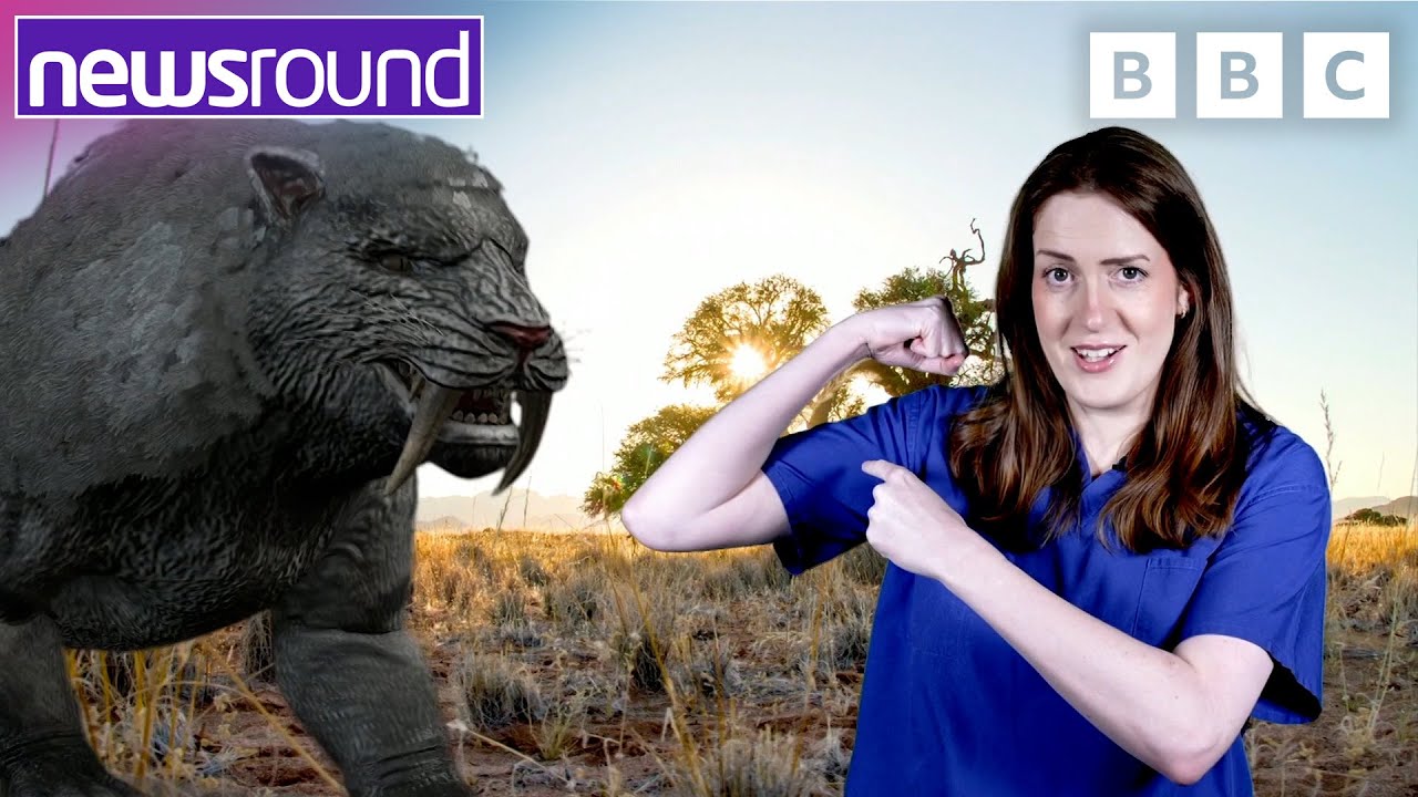 The Big Question: Why do we get scared? | Newsround - YouTube