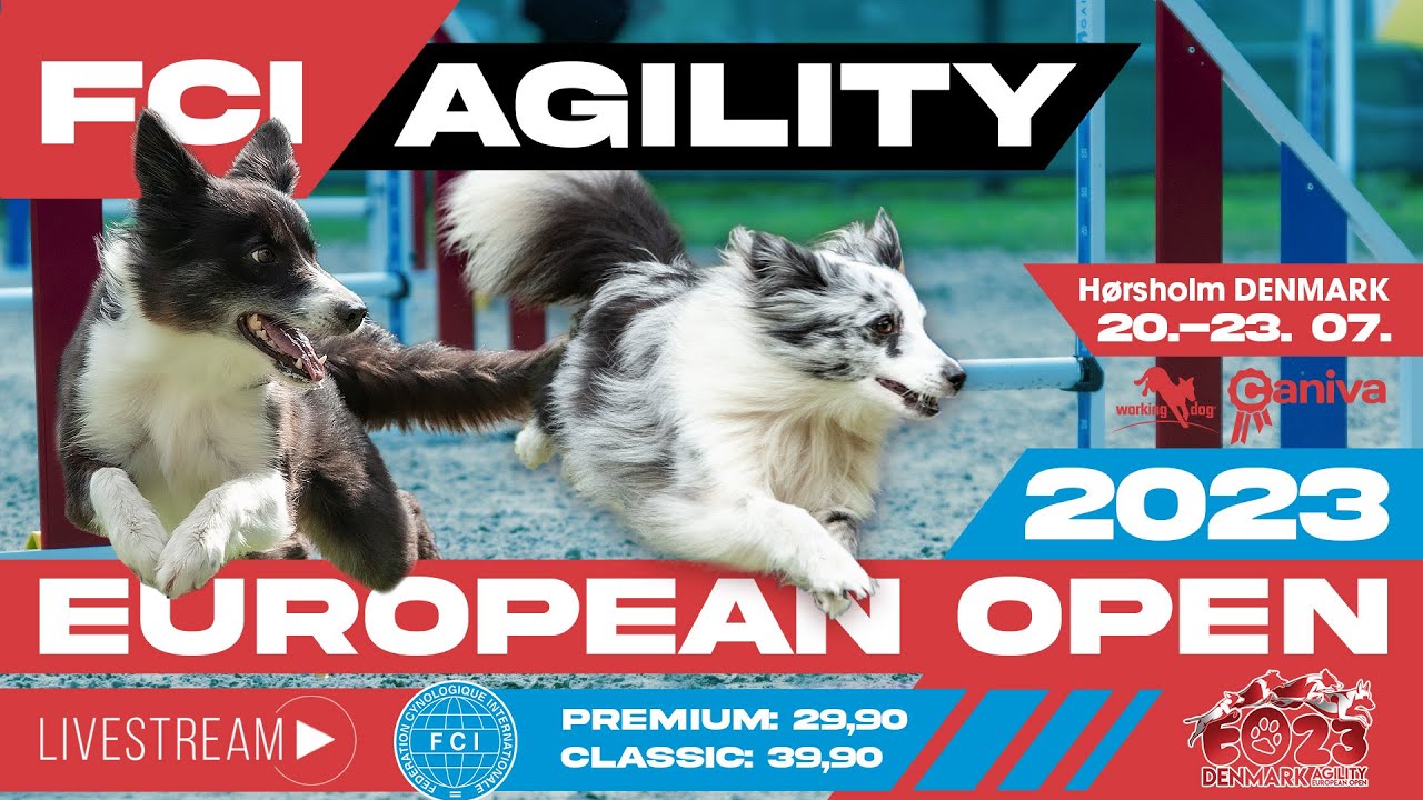 Livestreamtrailer // European Open Agility 2023 // working-dog - YouTube