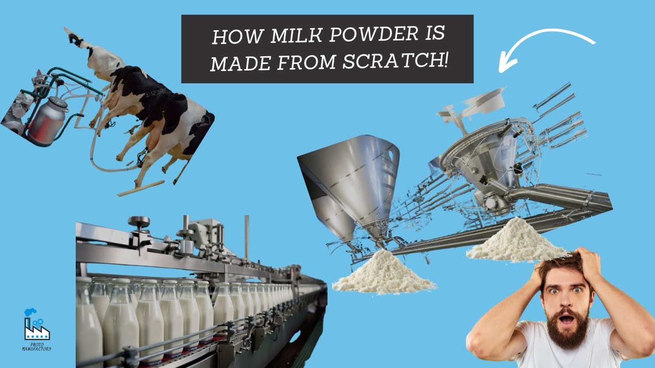 How milk powder is made from scratch. - YouTube