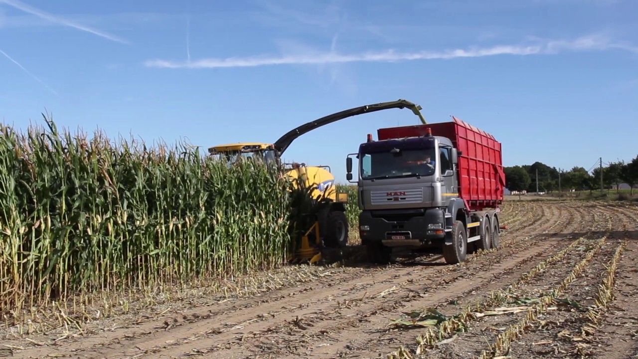 Corn Silage 2016 Fr700 - Ensilage de Maïs 2016 FR700 Drone - YouTube