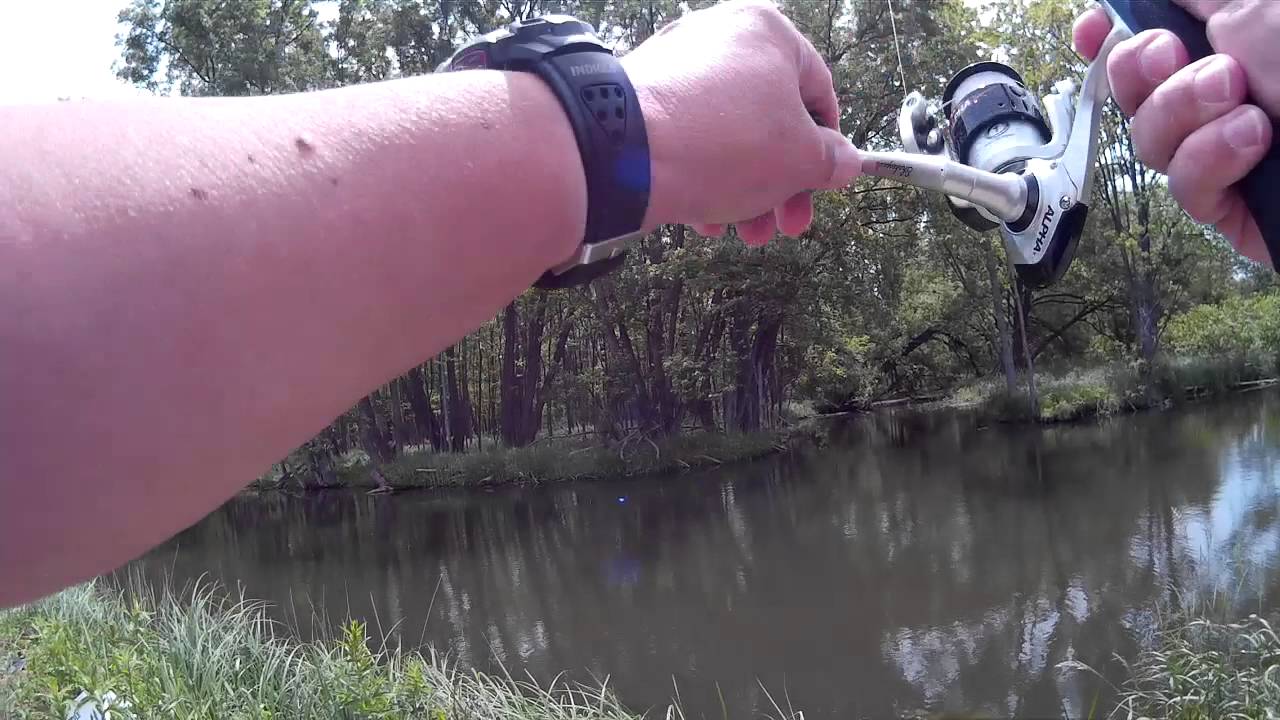 Fishing The Holland River - Davis Rd. (Hwy 9) - YouTube