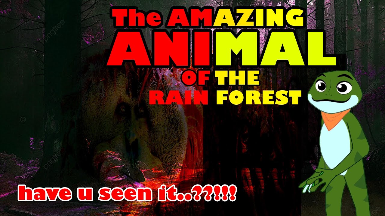 Discover Orangutans: The Amazing Apes of the Rainforest" - YouTube