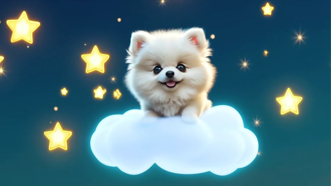 Pomy's Bedtime Lullaby| Pomeranian Puppy | Educational and Funny ...