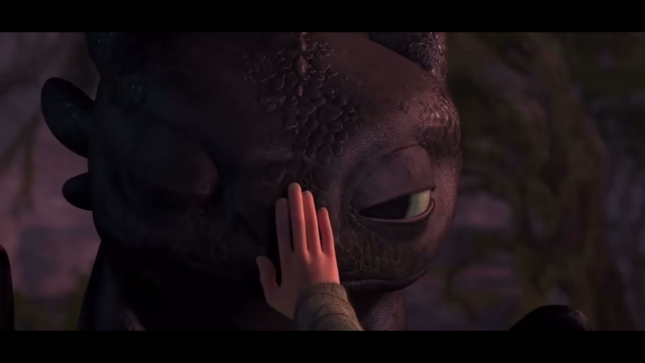 How To Train Your Dragon Hiccup And Toothless First And Last Meeting
