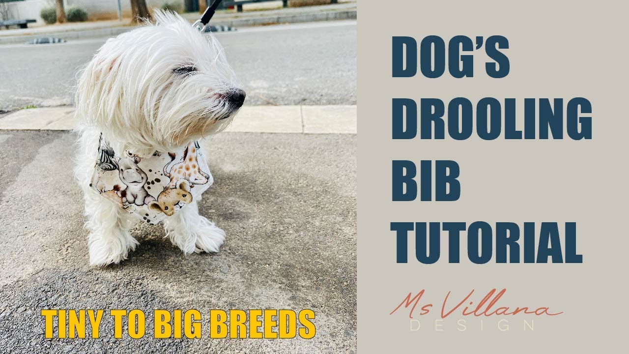Dog drooling bib, dog bib tutorial, dog bandana alternative - YouTube