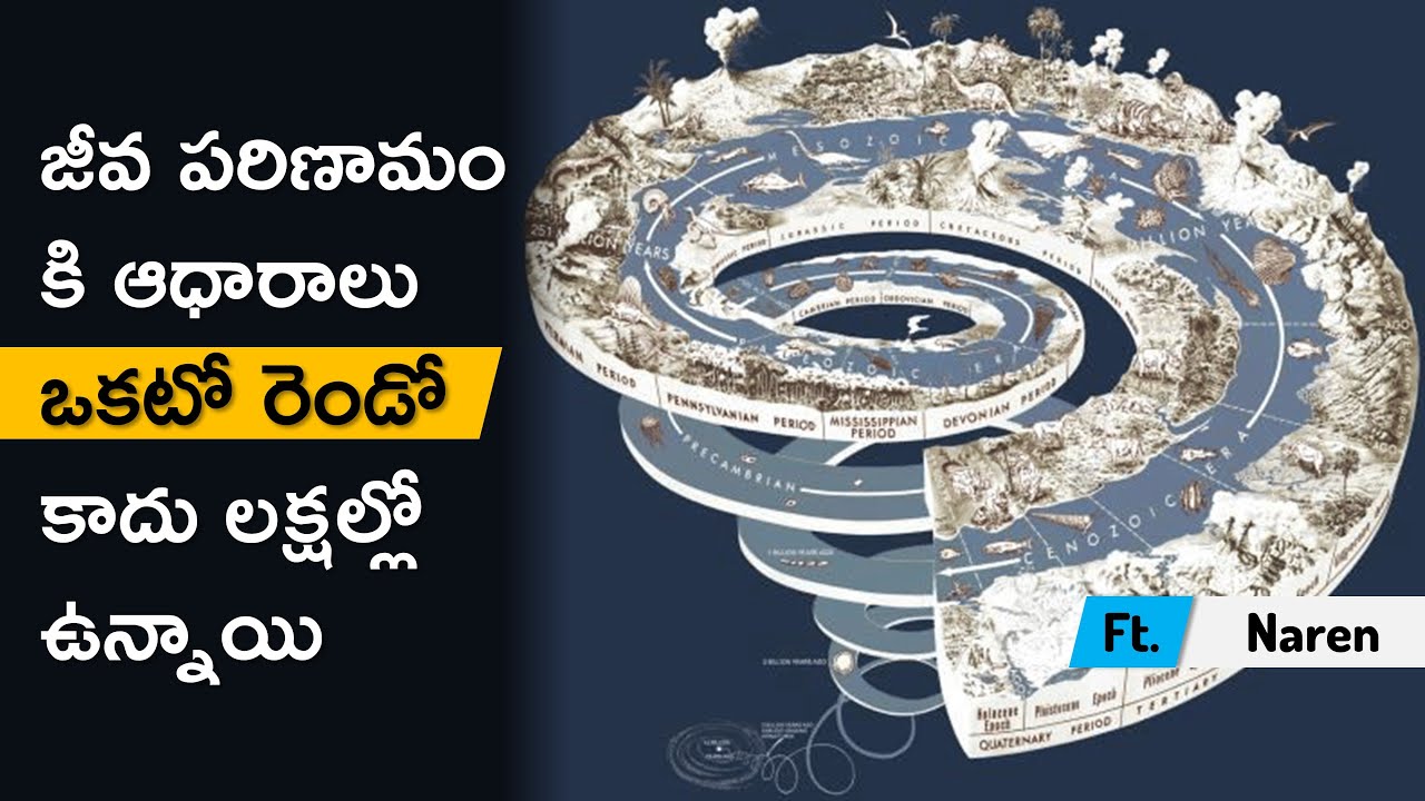 అరకొర ఆధారాలు ఉంటె సైంటిస్టులు కూడా ఒప్పుకోరు | Molecular clock ...