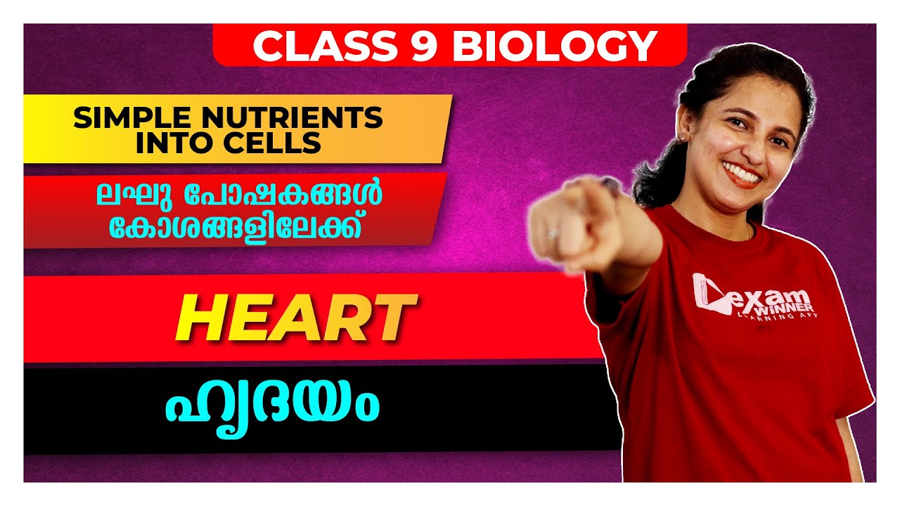 Class 9 Biology | Heart ഹൃദയം | Simple Nutrients in to Cells | Exam ...