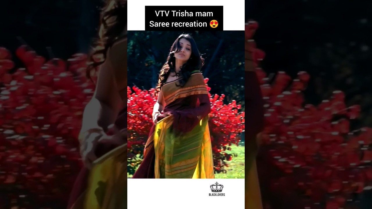 VTV Trisha saree😍 #vtv #trisha #thrisa #saree #shorts - YouTube