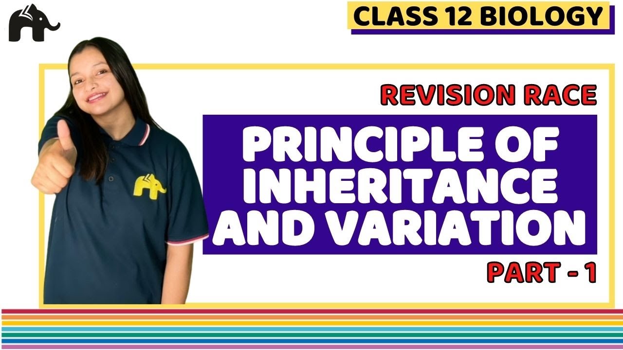 Principle of Inheritance and Variation Class 12 Biology NCERT Chapter 5 ...