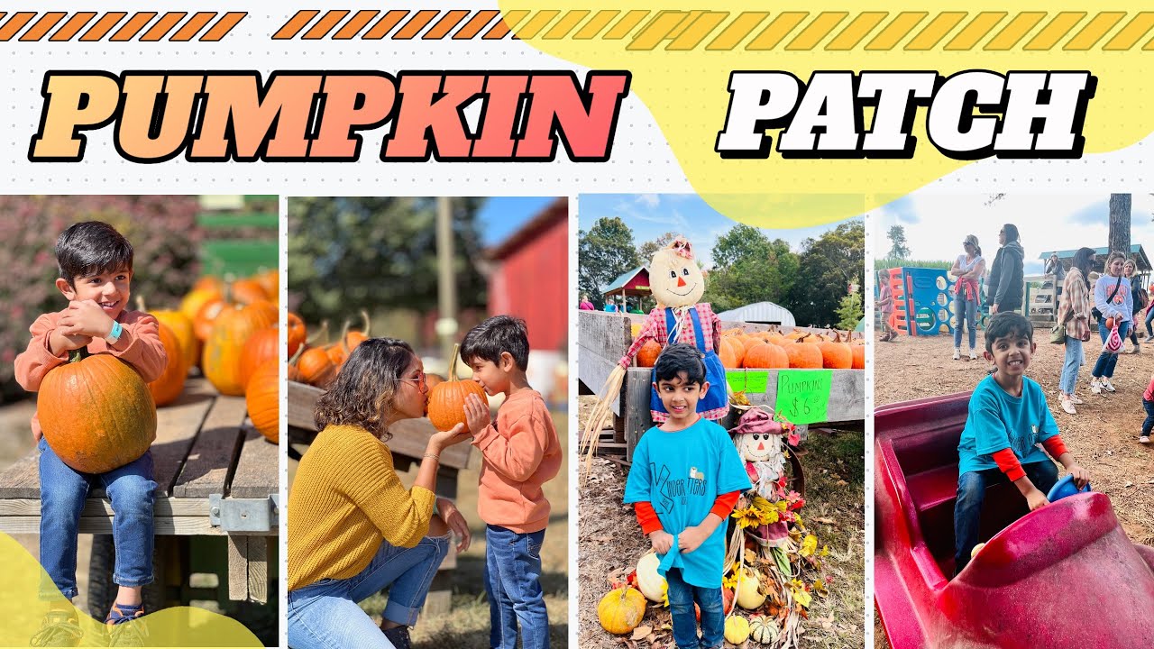 Pumpkin Patch Fun at Deep Well #farm 🎃| Fall Days | Probase DevShikha #pumpkin - YouTube