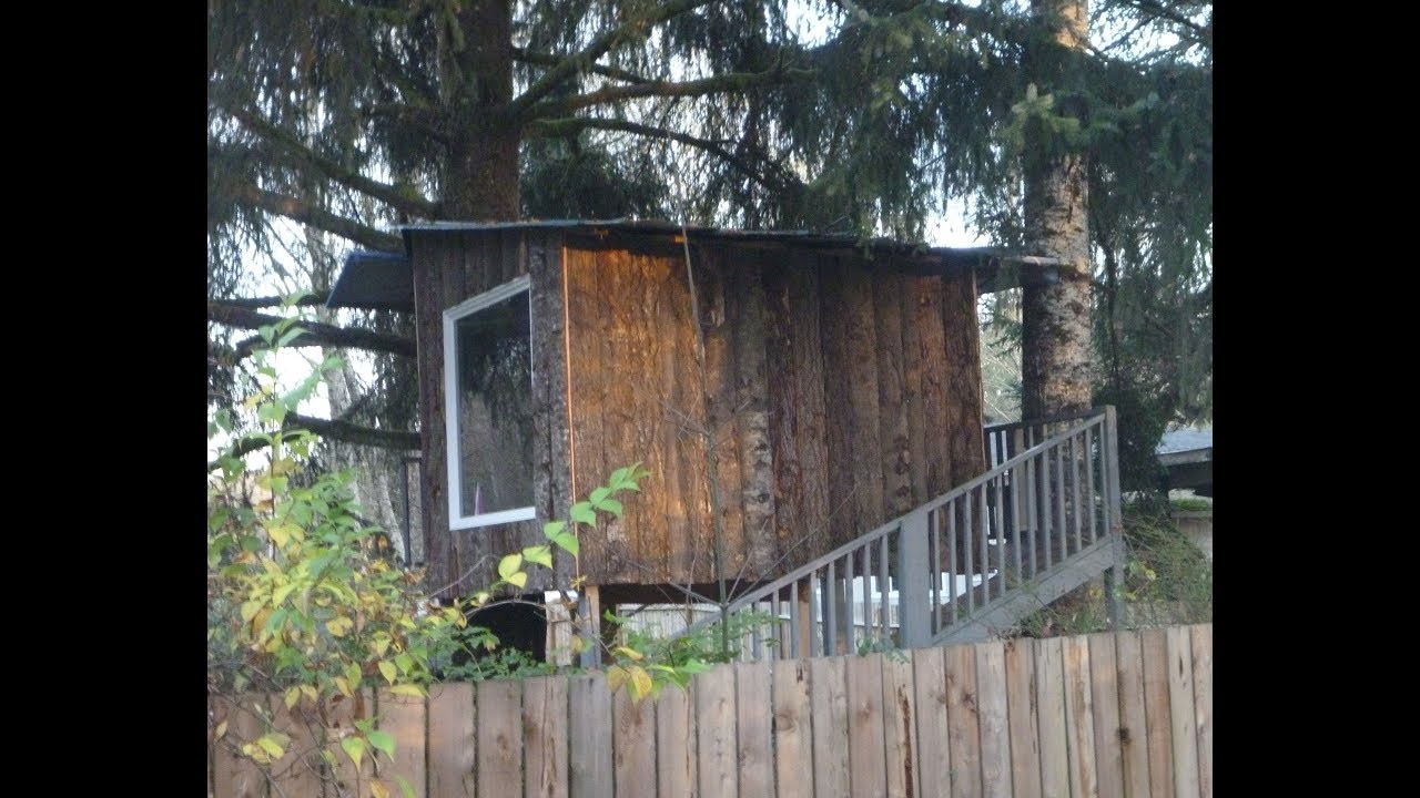 TREE HOUSE SLIDESHOW + "THE DUMP" TRAILER REMODEL Start to Finish SHOTS ...