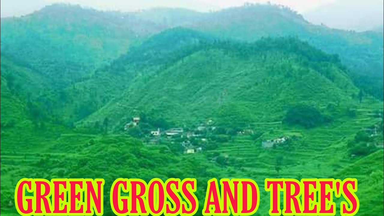 Green Green Gross of Home #naturalbeauty - YouTube