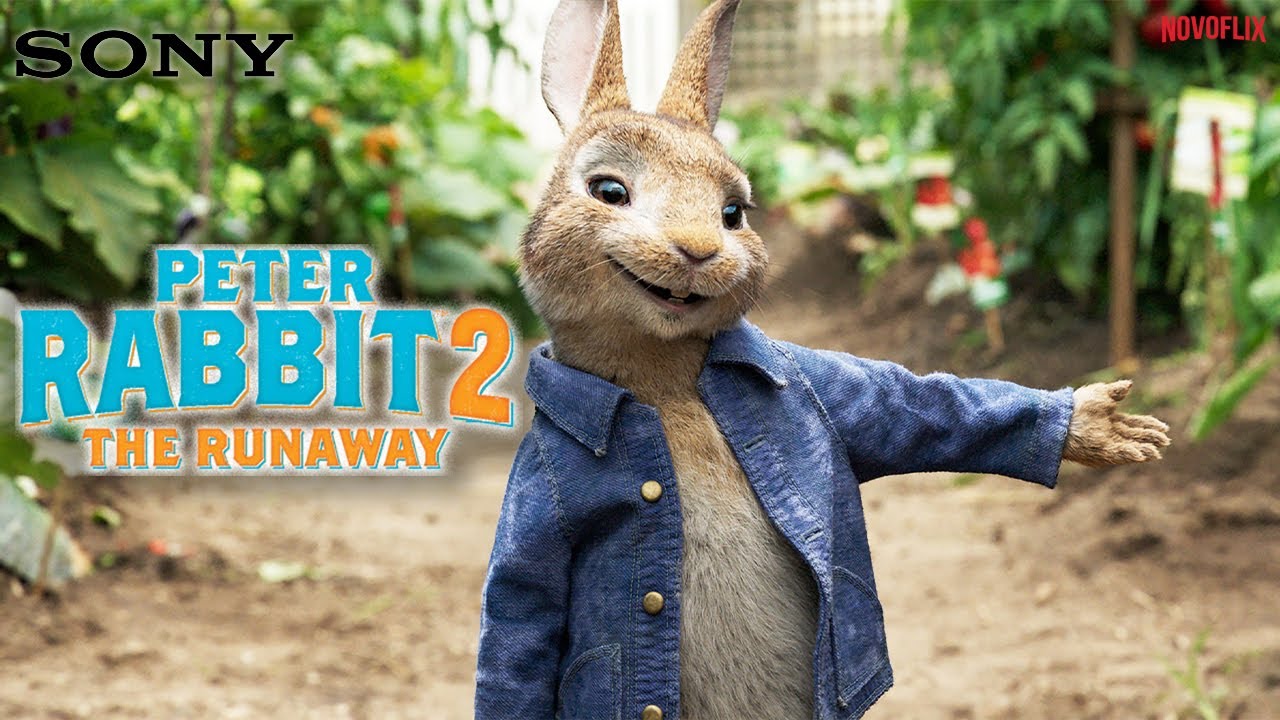Peter Rabbit 2 Release Date, Cast And Plot - What We Know So Far - YouTube