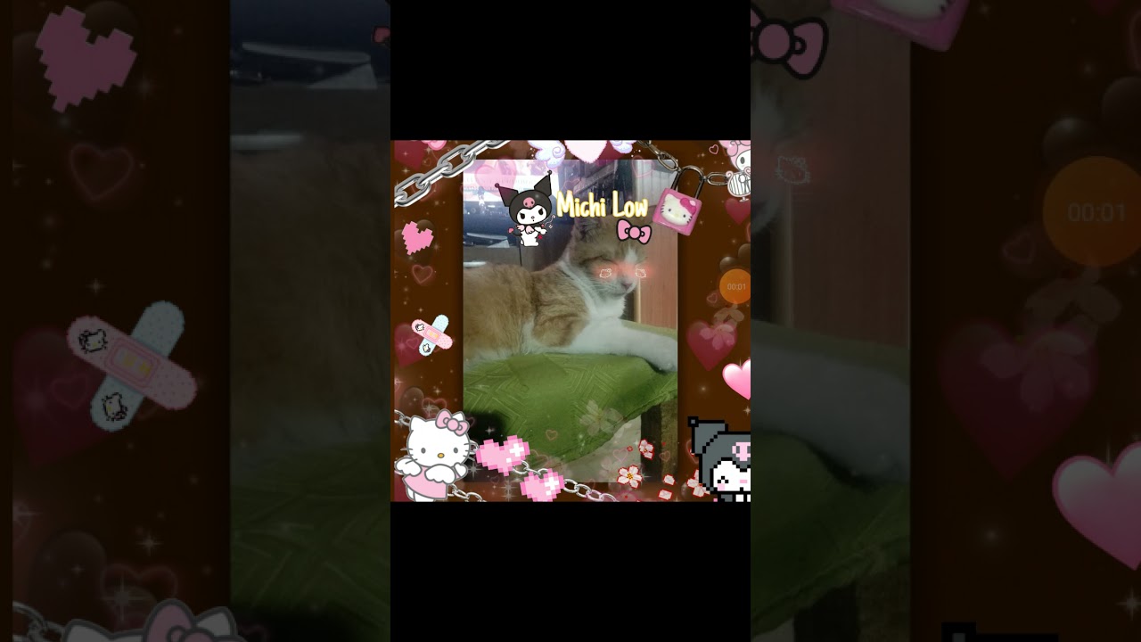 Ya casi somos 20 Michis de corazon en Michi Low! - YouTube