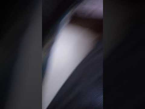 How to make a den/fort