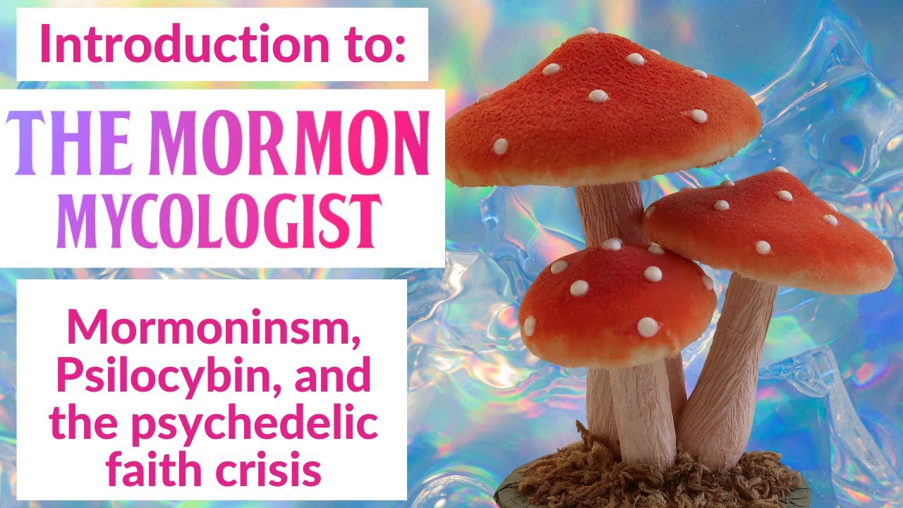 Mormon Mycologist Intro: Mormonism, Magic Mushrooms, Psilocybin, and ...