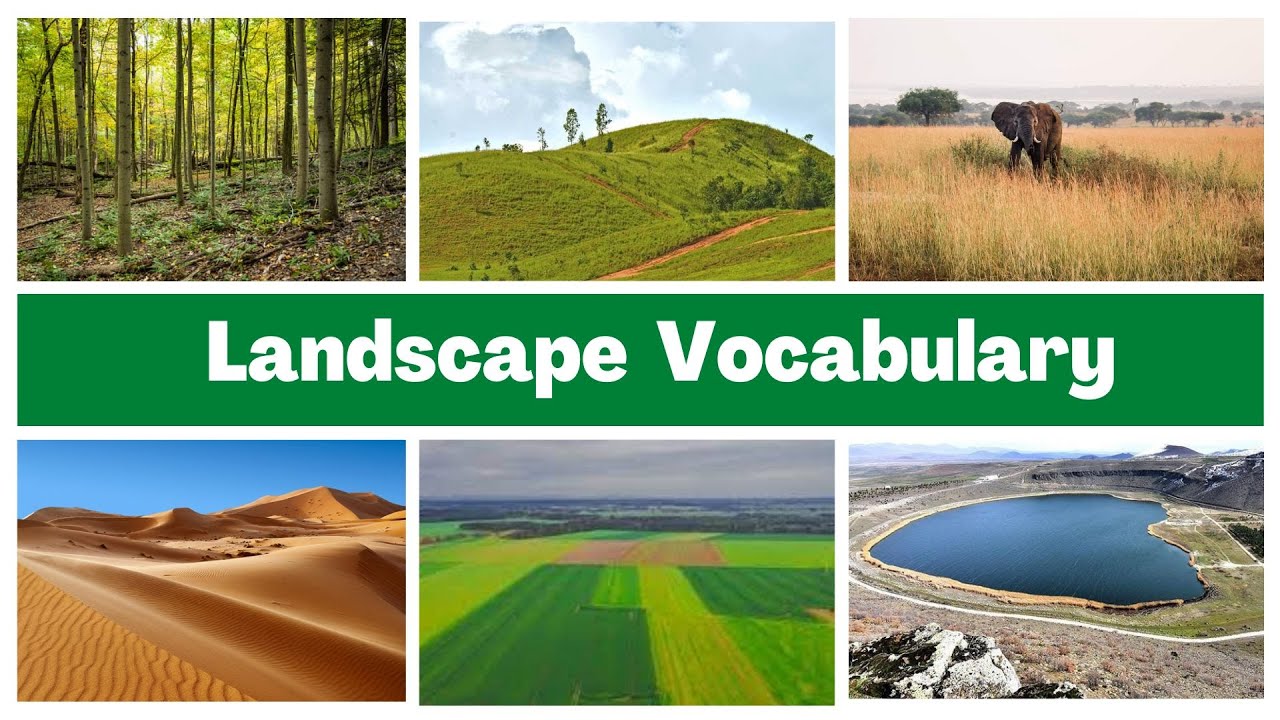 Landscape Vocabulary And Nature Vocabulary In English With Picture Easy ...