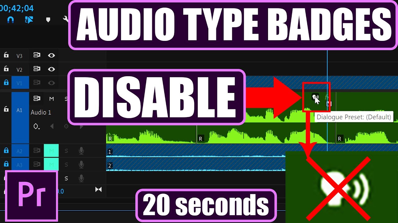HOW TO DISABLE AUDIO TYPE BADGES PREMIERE PRO - YouTube
