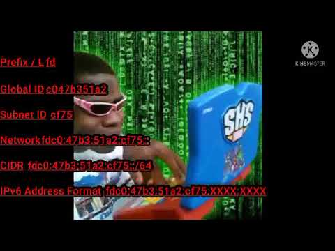 You Just Got Doxxed | IP Address Meme - YouTube