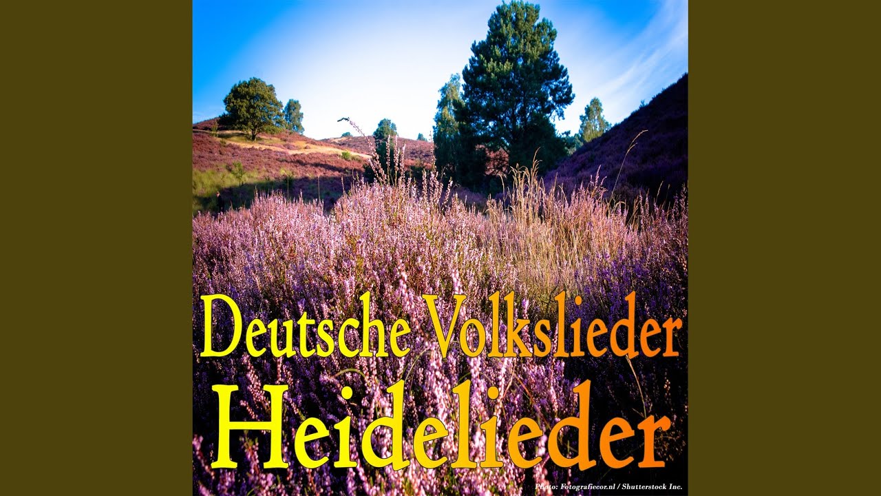 Im Wald und auf der Heide - YouTube