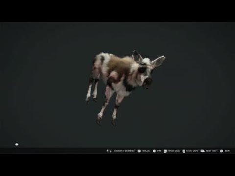 theHunter: Call of the Wild Female Piebald Moose! - YouTube
