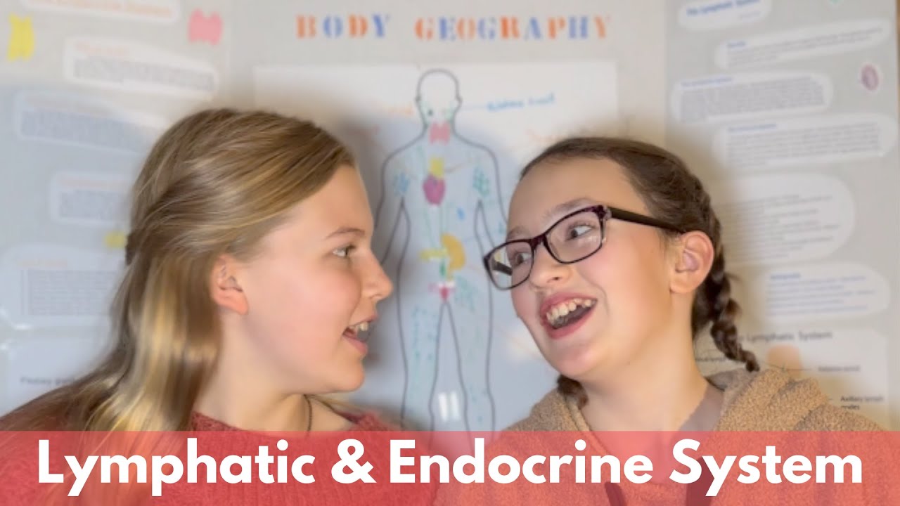 Lymphatic and Endocrine System - YouTube