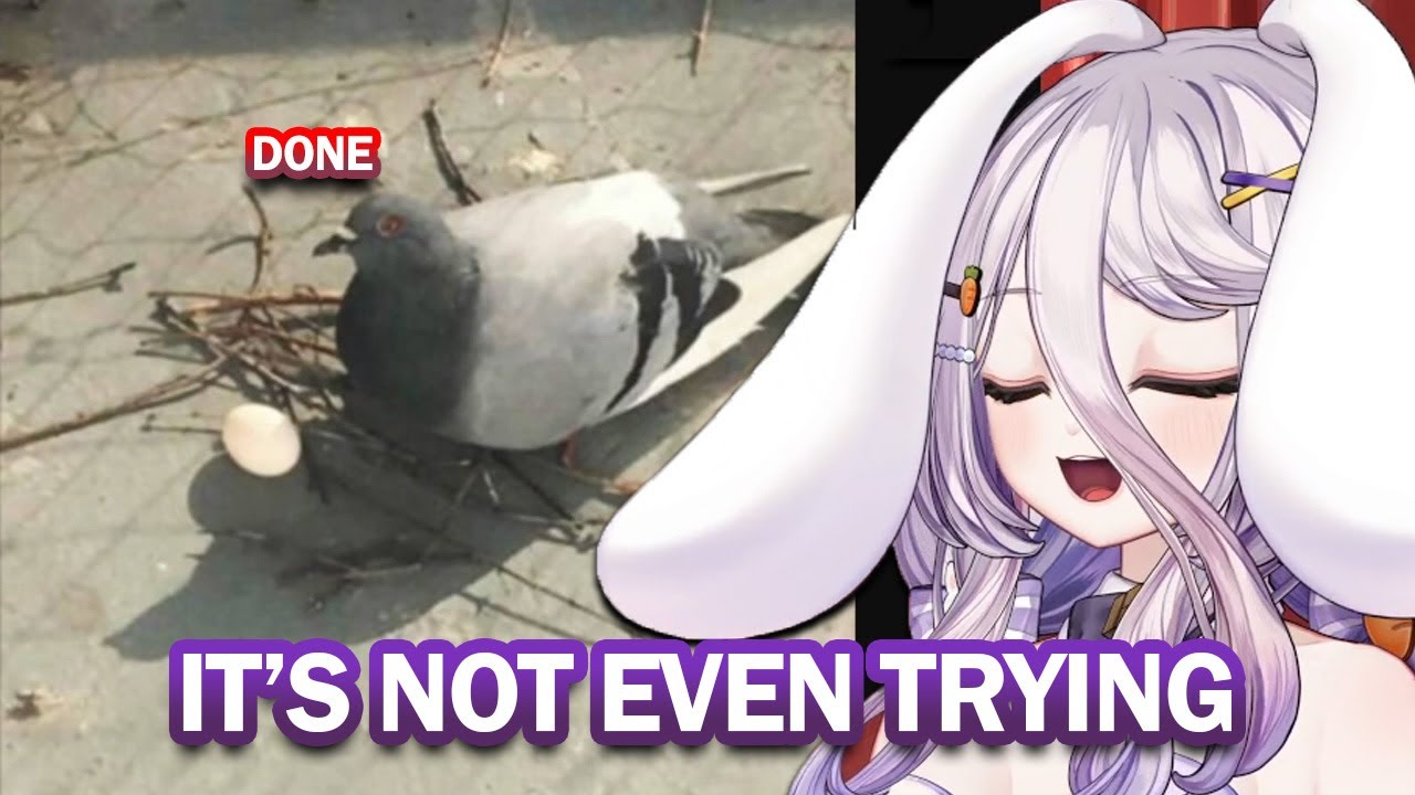 Henya still can't get over with Perfect Pigeon Nest | Henya Reacts to ...