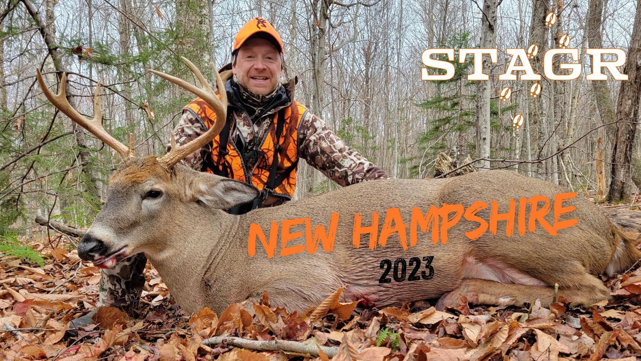 New Hampshire Buck Rattled In | Early Gun Season Action - YouTube