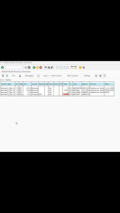 SAP Monitoring: Exploring SM66 - YouTube