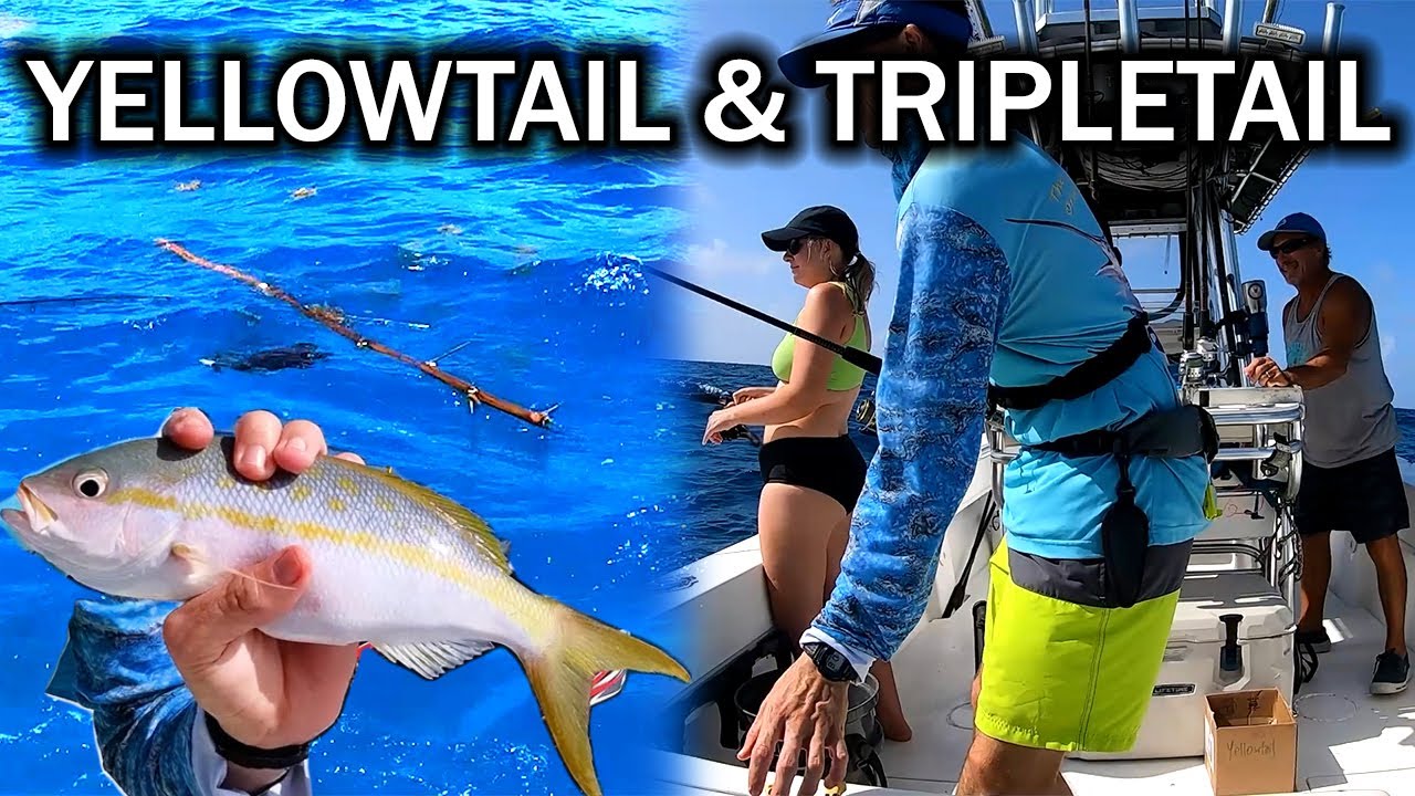 Catching Yellowtail and Tripletail in the Florida Keys in Windy Weather ...