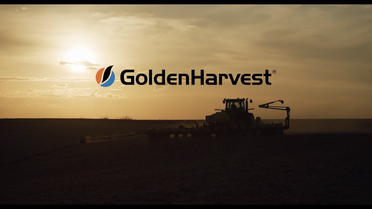 Golden Harvest Seeds Short Form Brand Video - YouTube