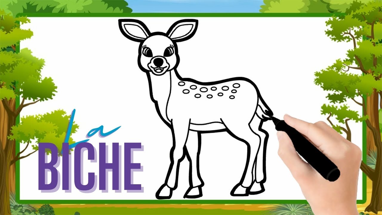 Comment dessiner une biche facilement | Dessin biche facile & coloriage par étapes - YouTube