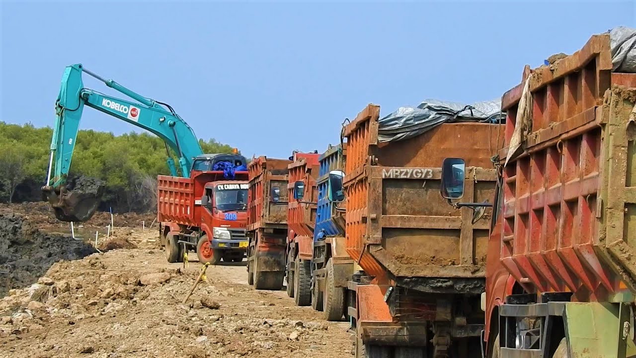 Excavator Trucks Digging Mud Out From The River Estuary Sediment ...