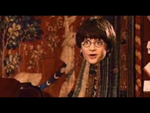 Harry Potter & The Invisibility Cloak | Fortnite Battle Royale - YouTube
