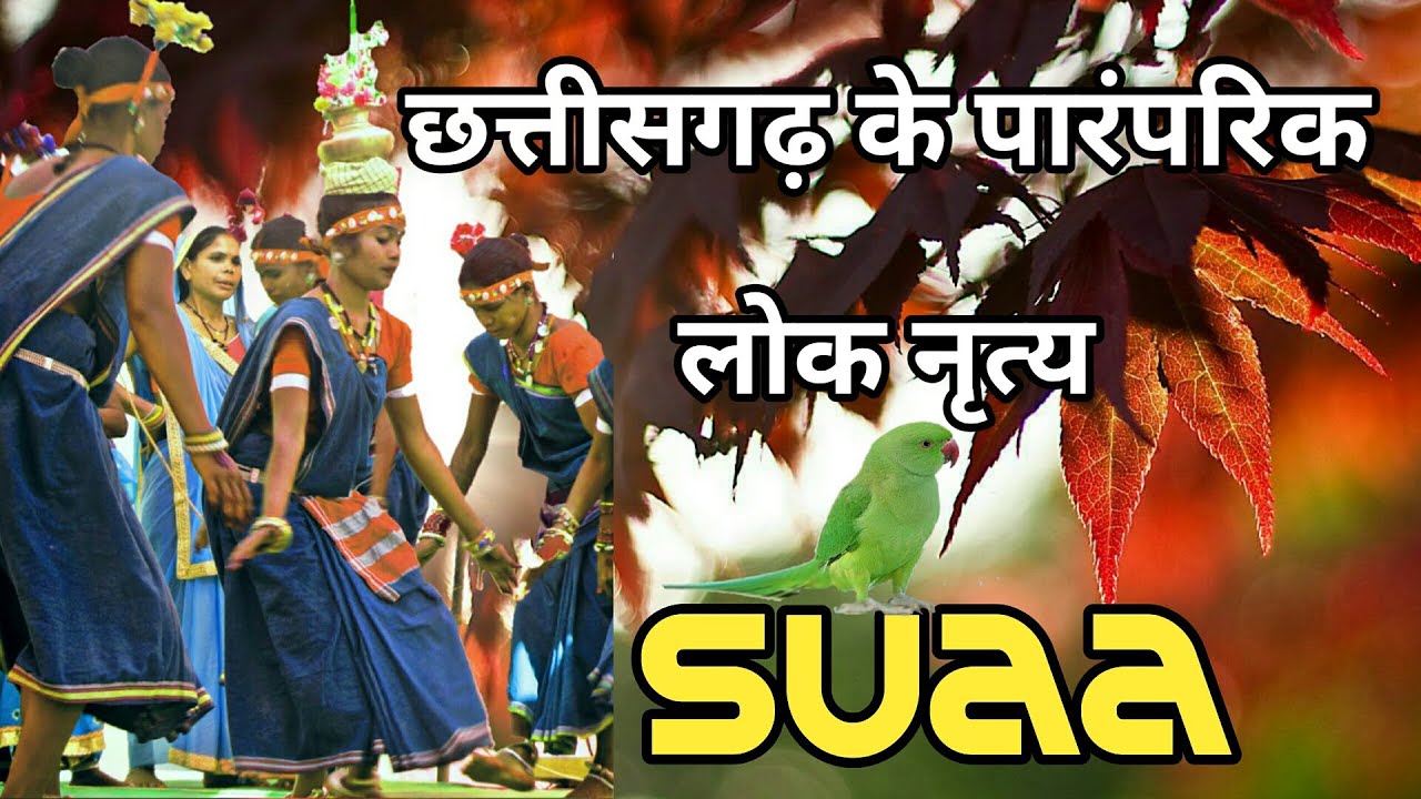 Suaa nritya छ.ग.का लाेक नृत्य - YouTube