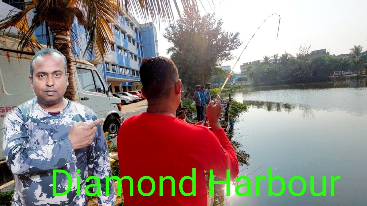 fishing videos diamond harbour|fishing videos big fish#bigfish# ...