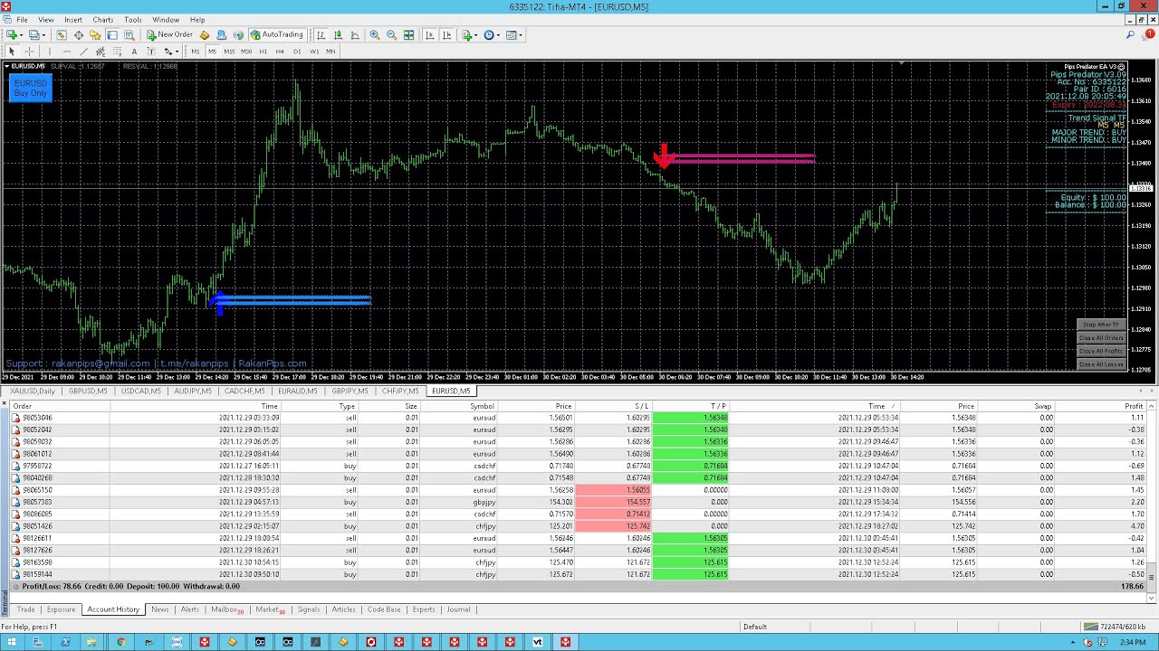 Pips Predator EA V3 - BUY and SELL Strategies - YouTube