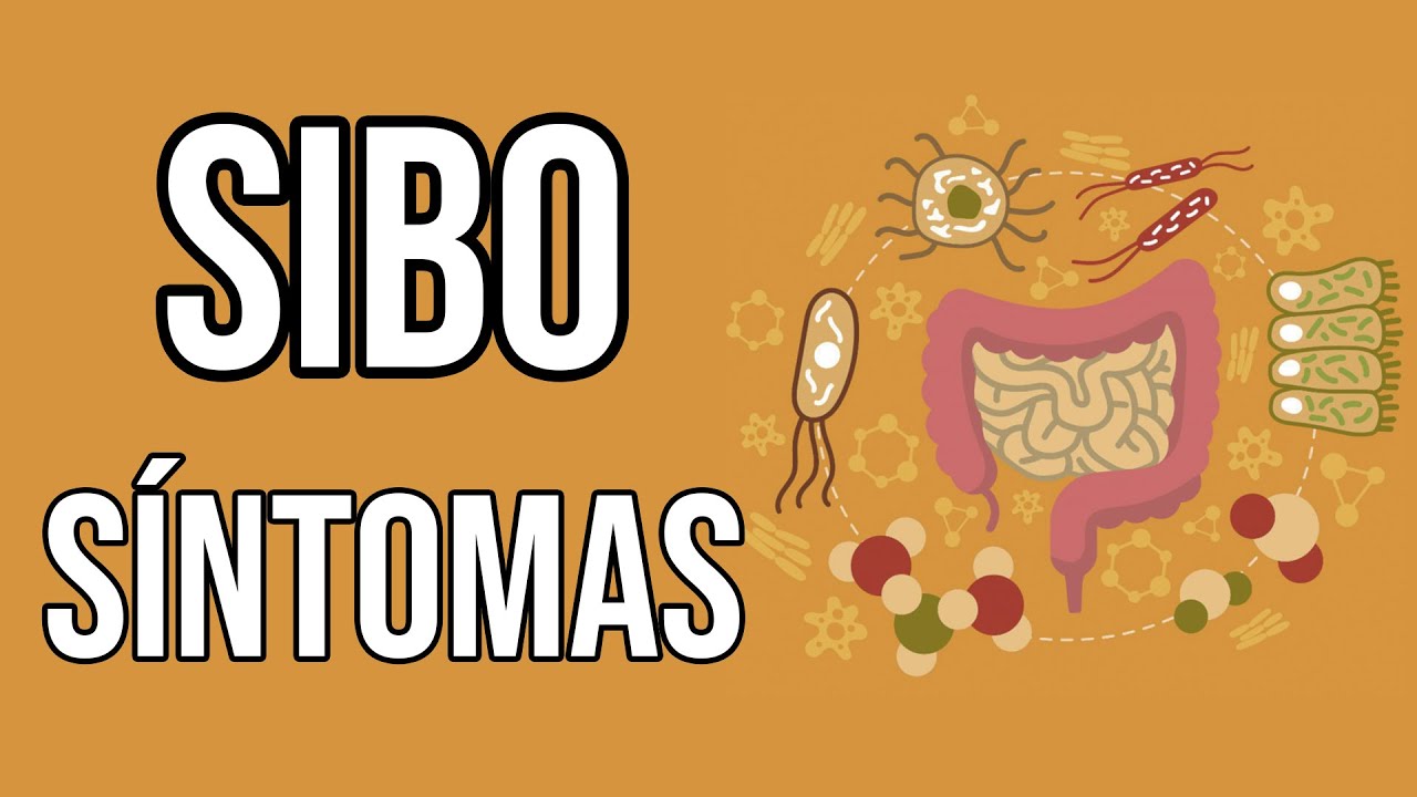 ¿Qué es el SIBO y cuáles son sus SÍNTOMAS? 🦠 - YouTube