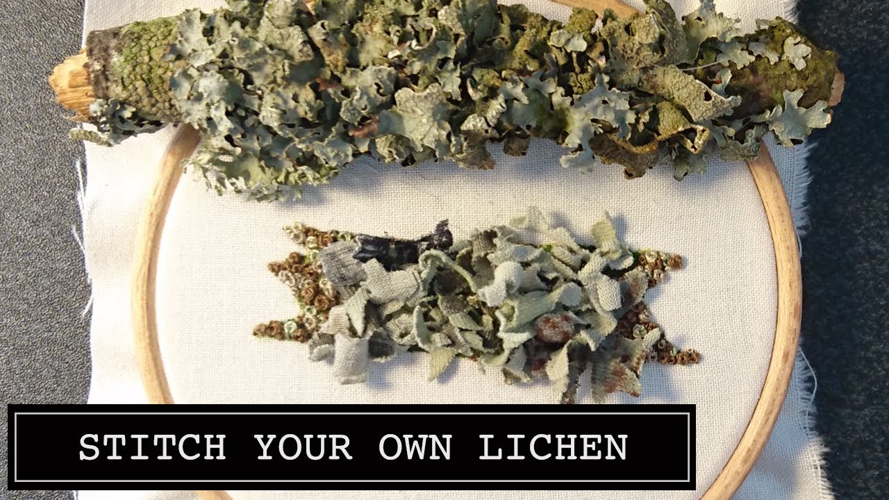 How to Make a Lichen Covered Branch Hand Embroidery Online Class - YouTube