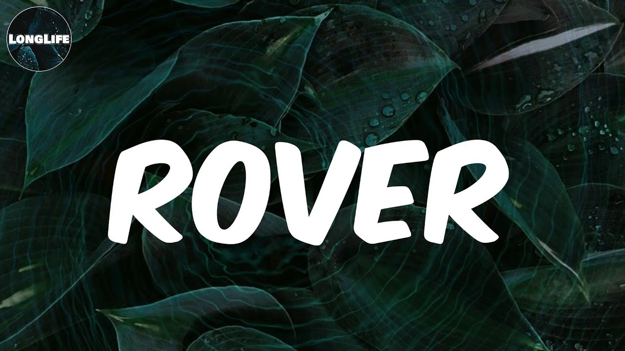 S1mba - (Lyrics) Rover (feat. DTG) - YouTube