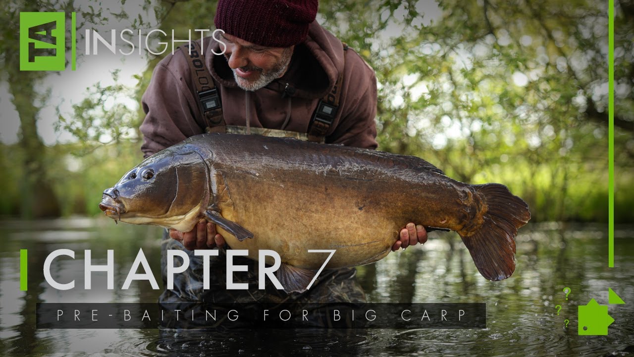 Pre-Baiting for Carp | TA|Insights | Volume Three | Chapter Seven ...