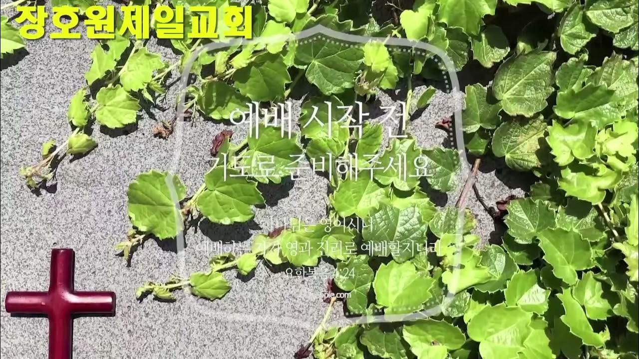 250629 1부 특주 - YouTube