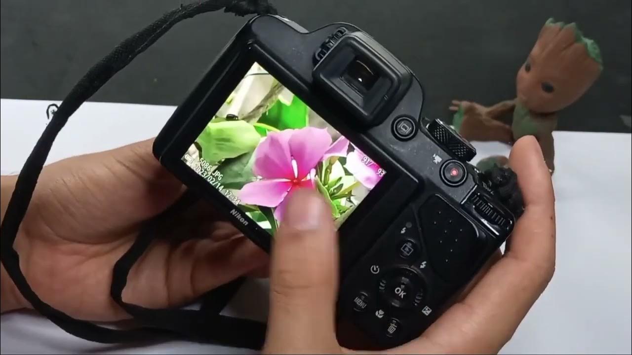 FOTOS TIRADAS COM A CAMERA NIKON COOLPIX P530 - YouTube