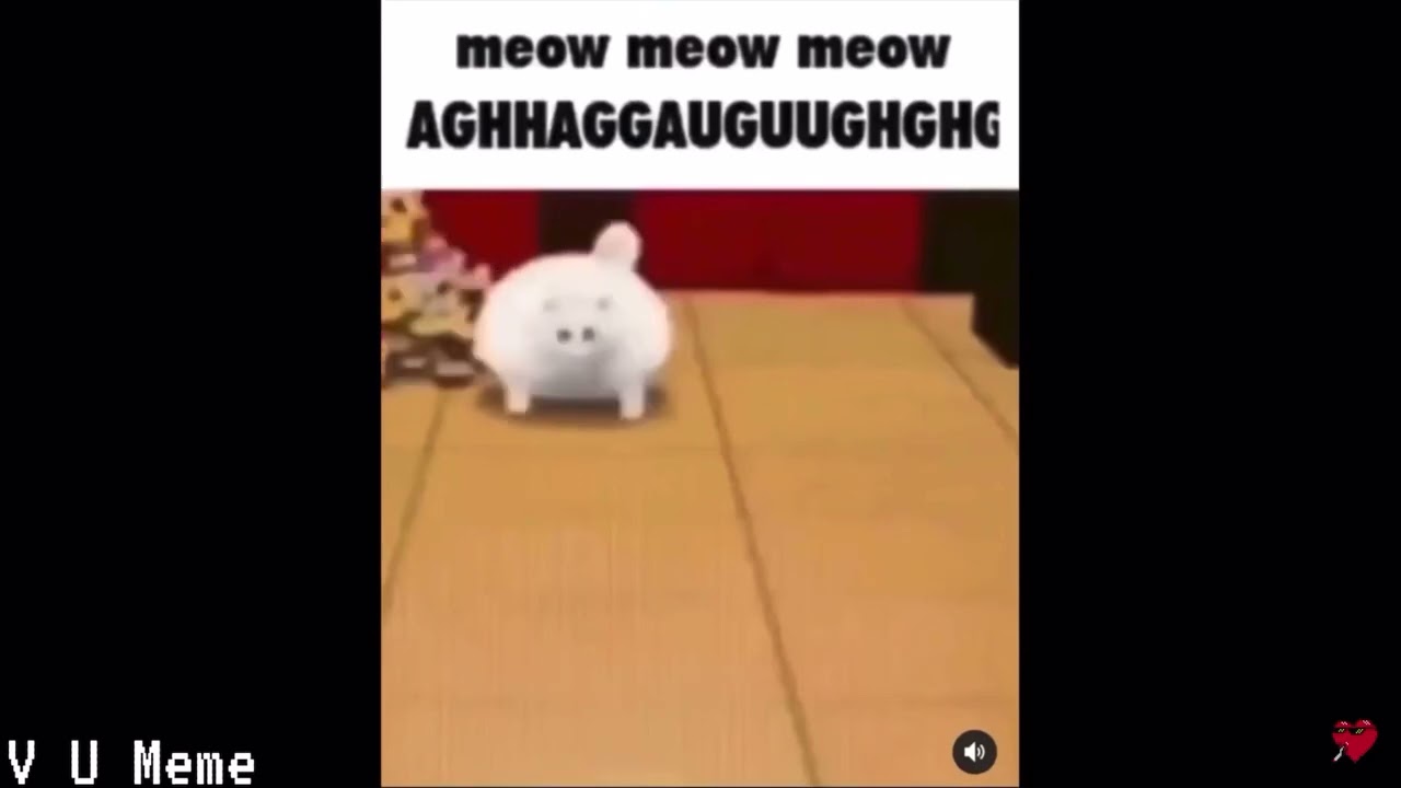 Fat cat gets obliterated by donuts meme - YouTube