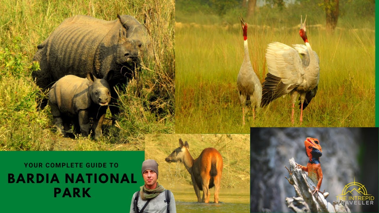 Bardia National Park travel guide. - YouTube