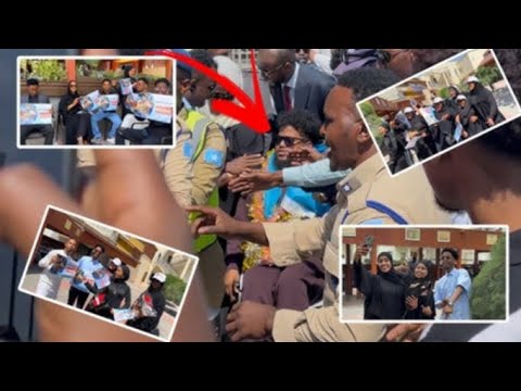 DEGDEG Xildhibaan dr maxamed oo dareenka Laqeybsaday asad Xaaji....See ...